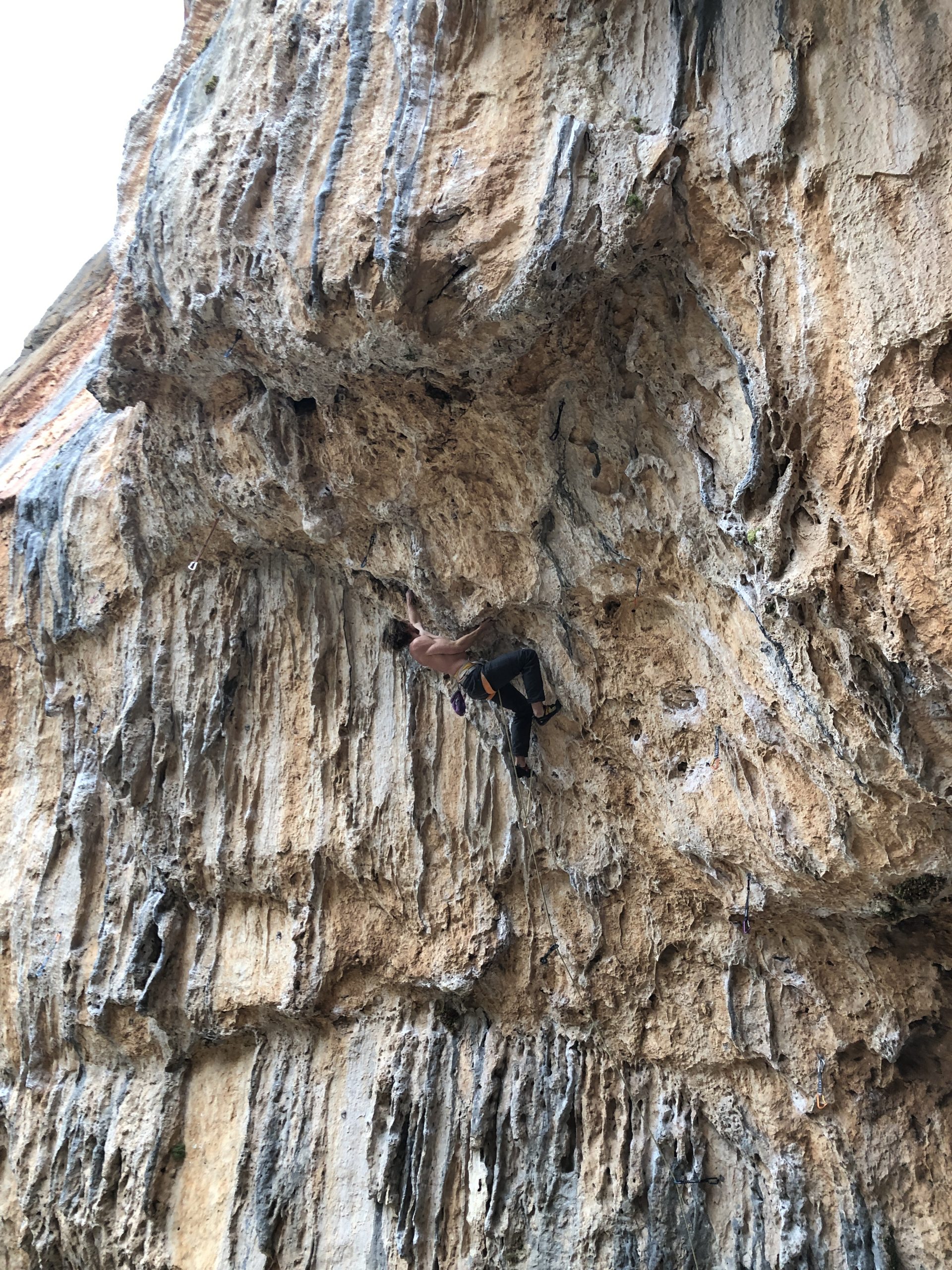 Robert Grasegger – die jungen Wilden – vivalpin.blog